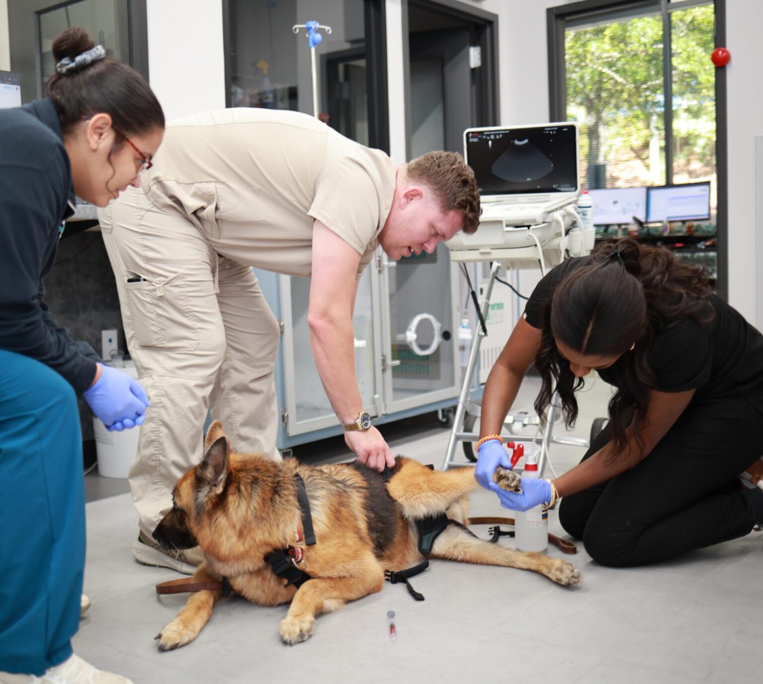 Emergency & Critical Care - Veterinary Specialists of Greater Atlanta