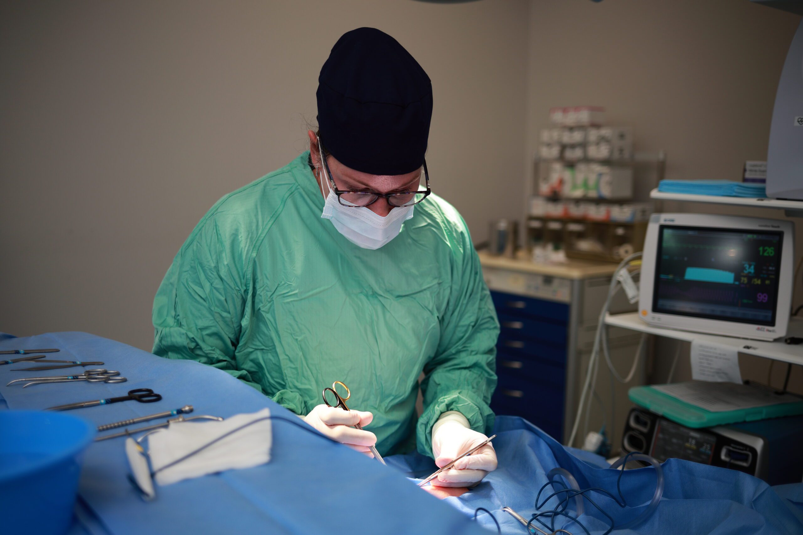 Soft Tissue Surgery For Pets - Veterinary Specialists of Greater Atlanta