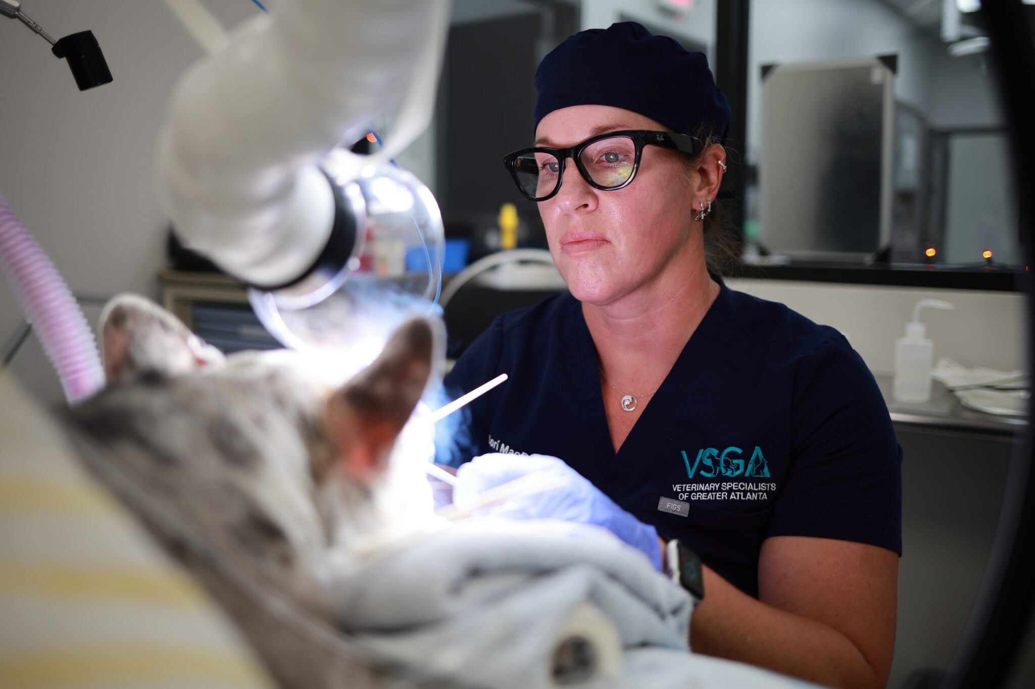Soft Tissue Surgery For Pets - Veterinary Specialists of Greater Atlanta